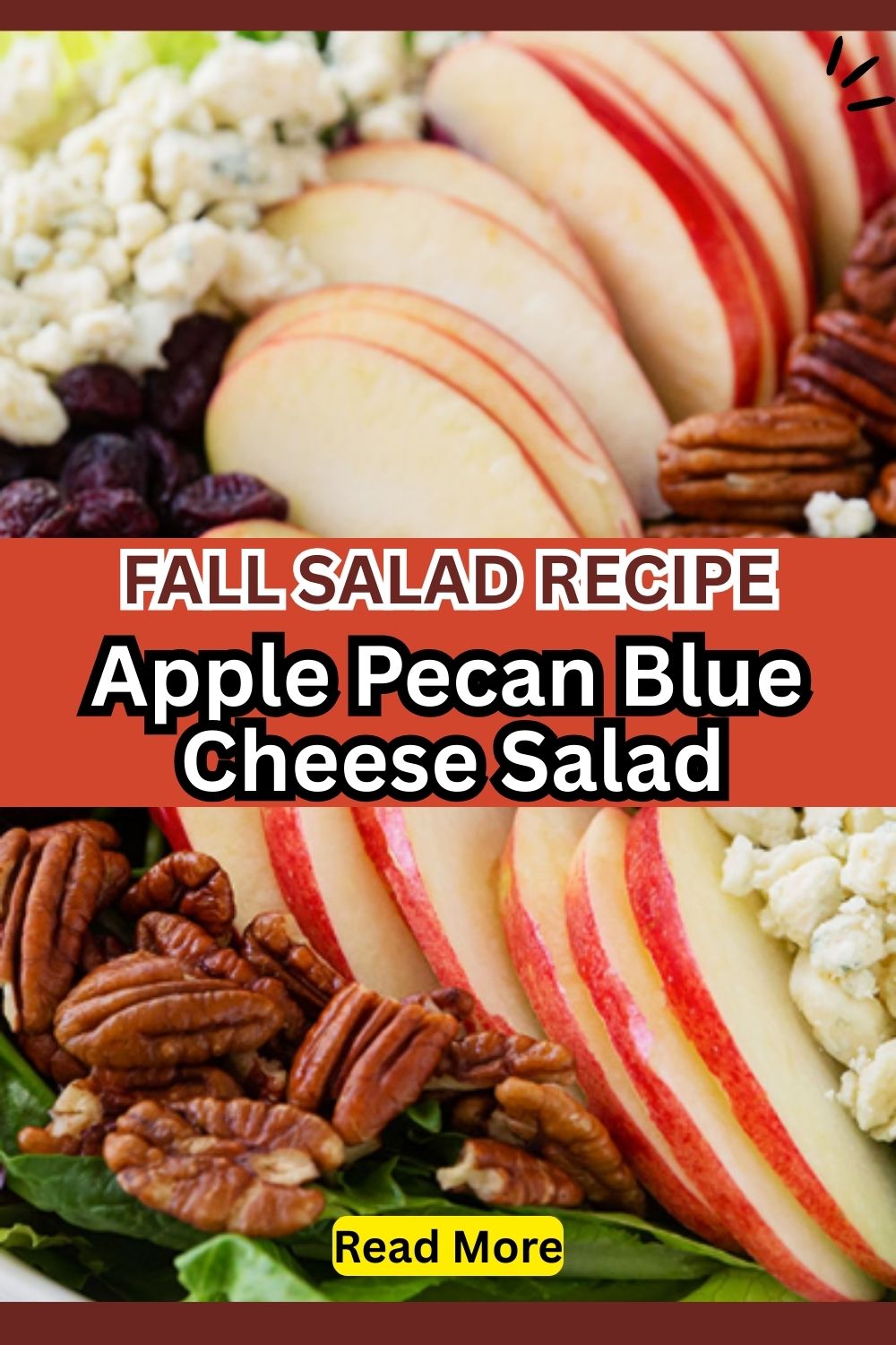 Apple Pecan Blue Cheese Salad Recipe
